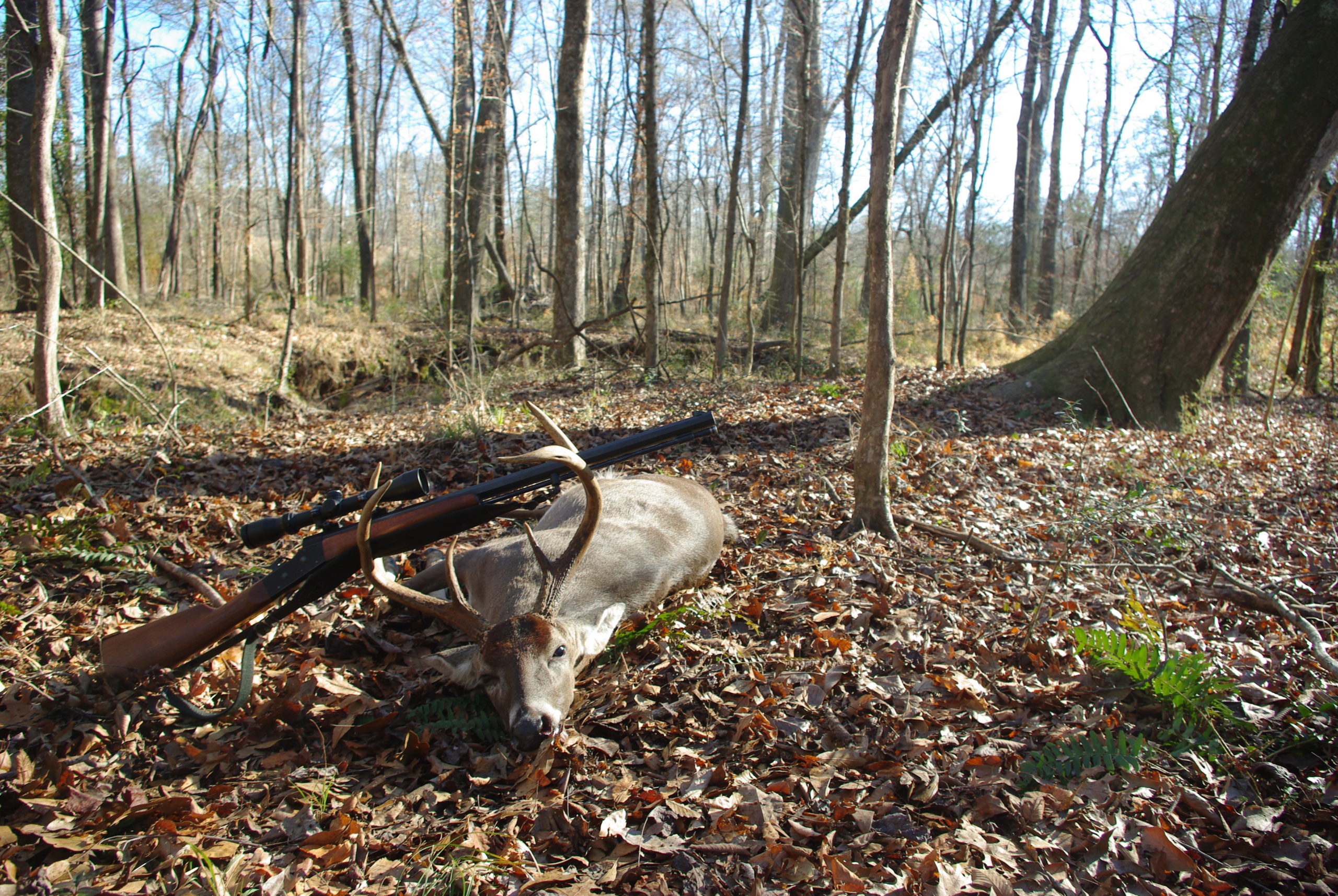 Louisiana Sportsman