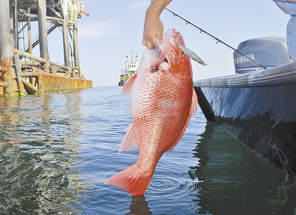 Louisiana Sportsman