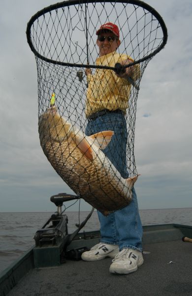Louisiana Sportsman