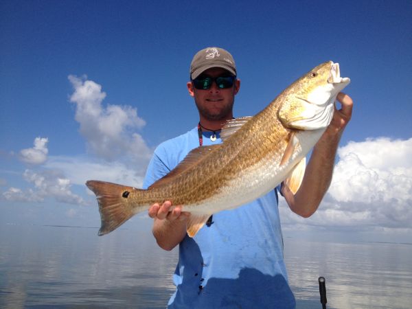 Louisiana Sportsman