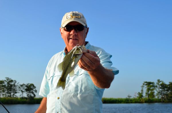 Louisiana Sportsman