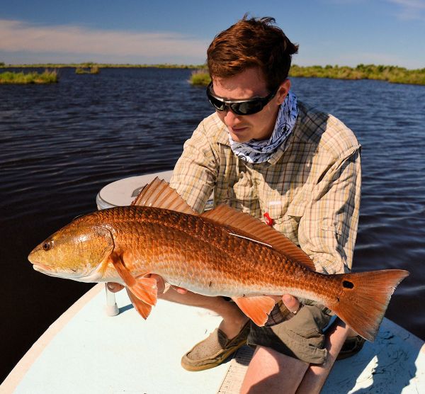 Louisiana Sportsman