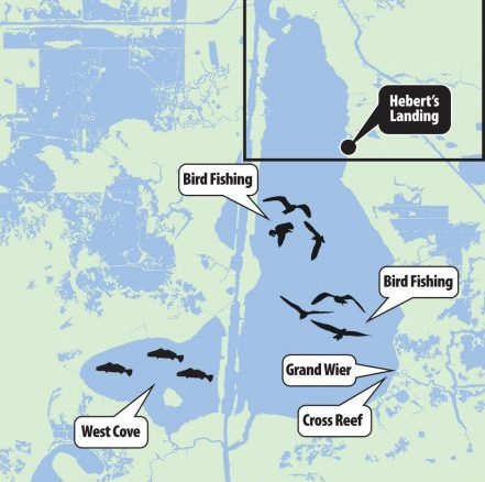 Louisiana Sportsman