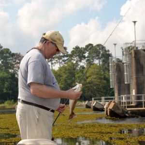 Louisiana Sportsman