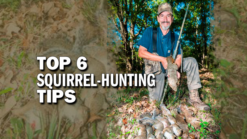 Louisiana Sportsman