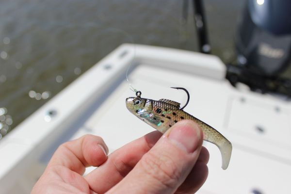 Louisiana Sportsman