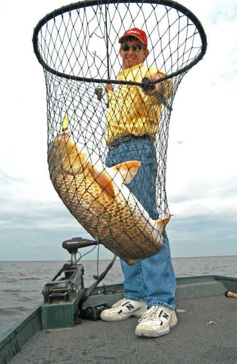 Louisiana Sportsman