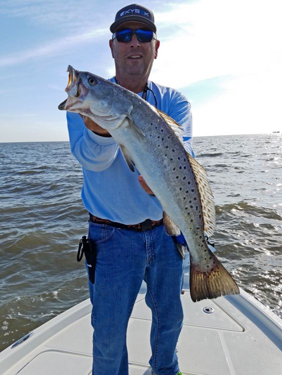 Louisiana Sportsman