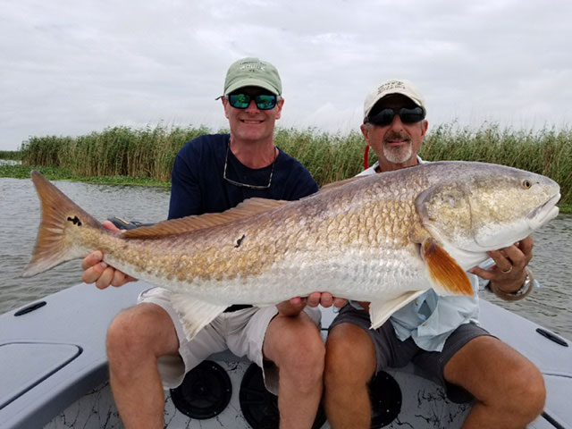 Venice Louisiana Red Fish