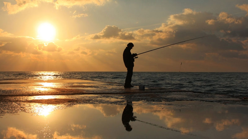 Louisiana Sportsman