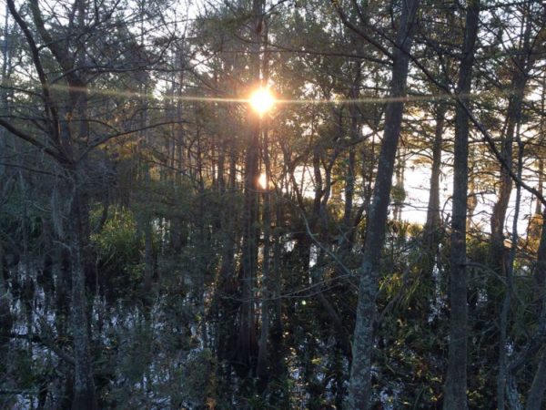 Louisiana Sportsman