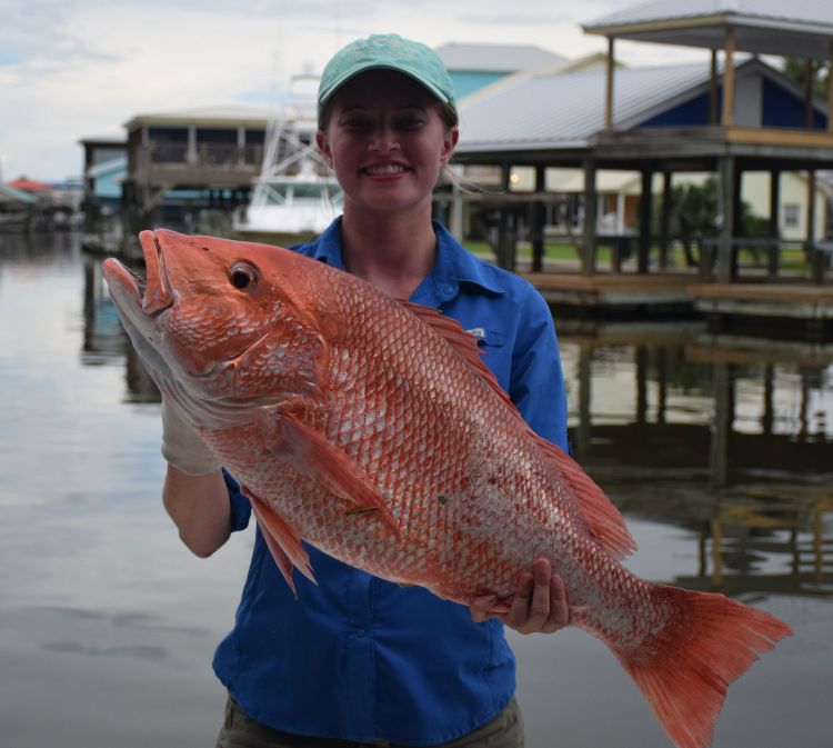 Louisiana Sportsman