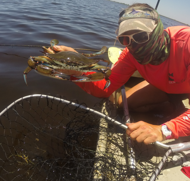 Louisiana Sportsman
