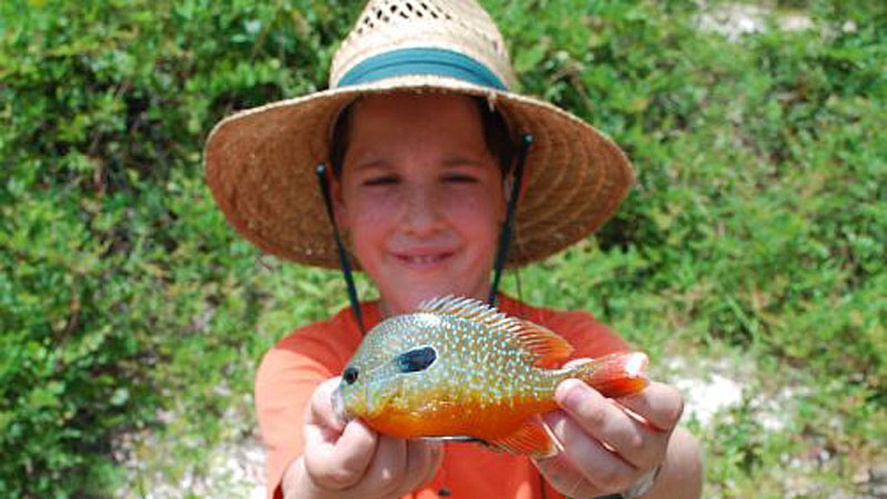 Louisiana Sportsman