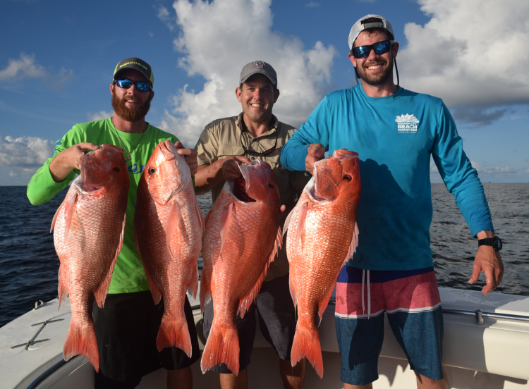 Louisiana Sportsman