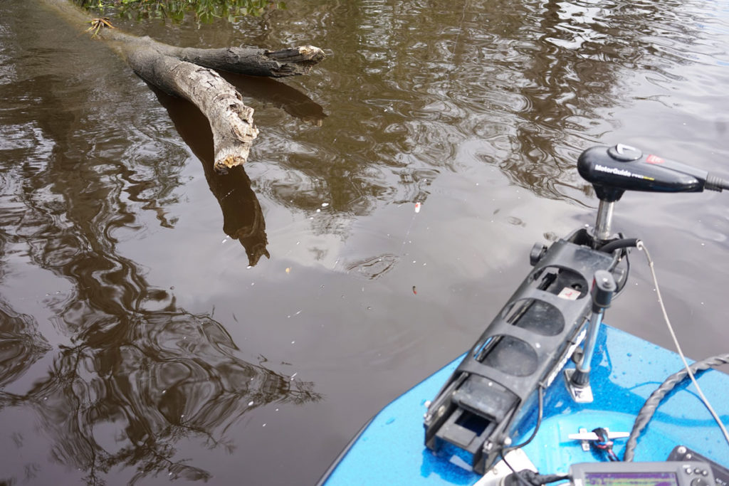 Louisiana Sportsman