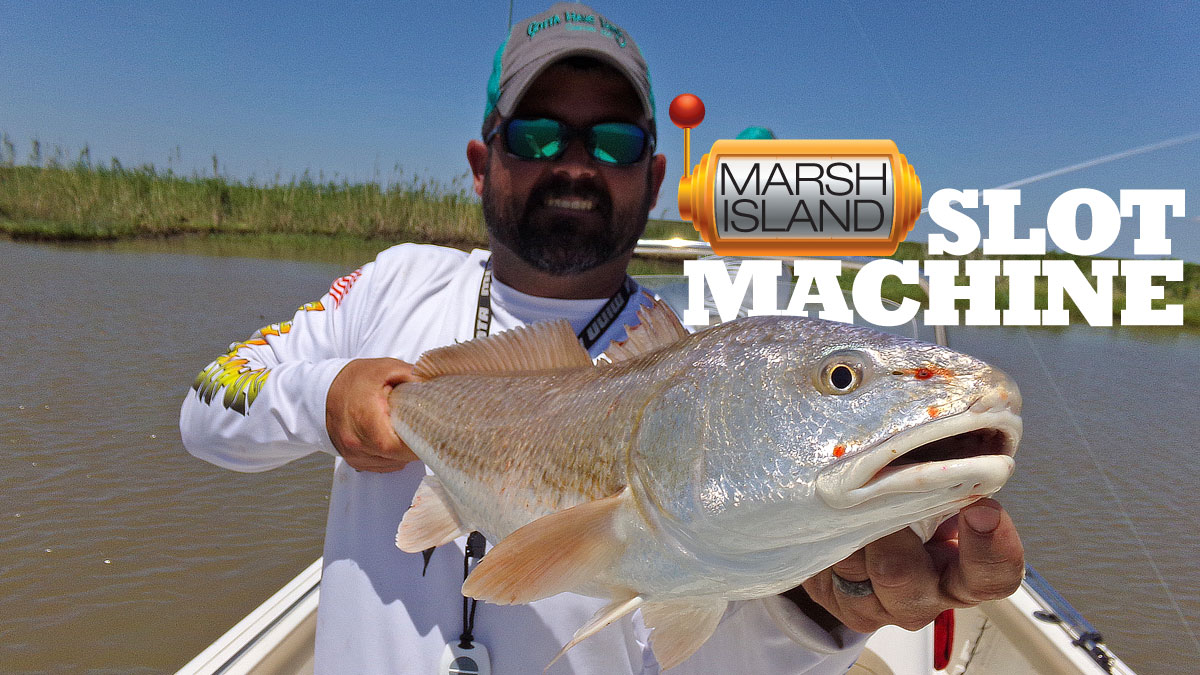 Louisiana Sportsman