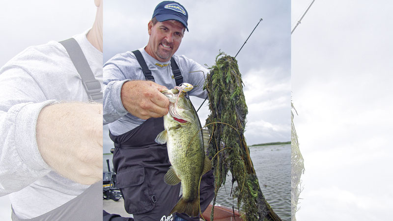 Louisiana Sportsman