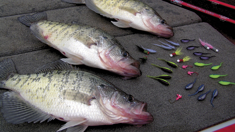 Louisiana Sportsman