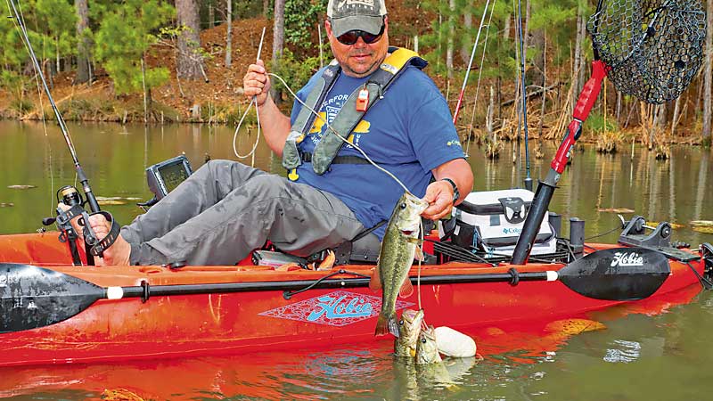 Louisiana Sportsman