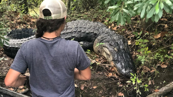 Louisiana Sportsman