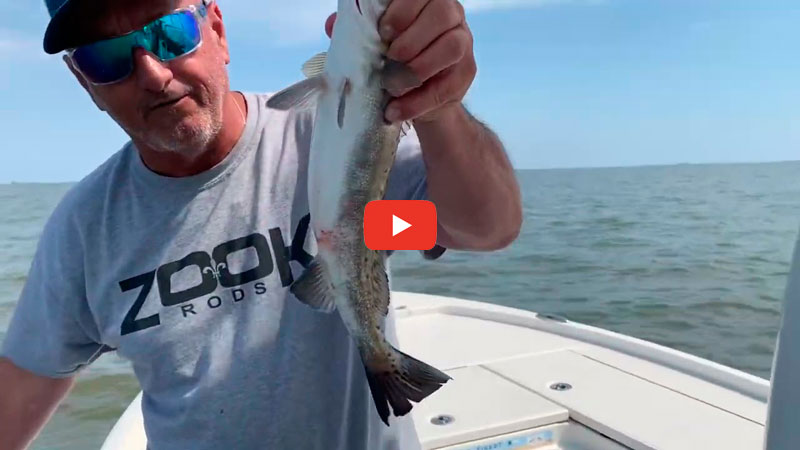 Louisiana Sportsman