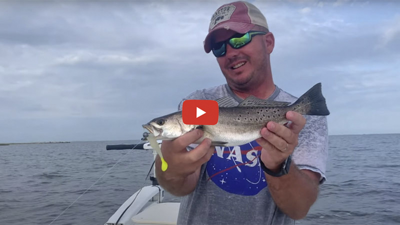 Louisiana Sportsman