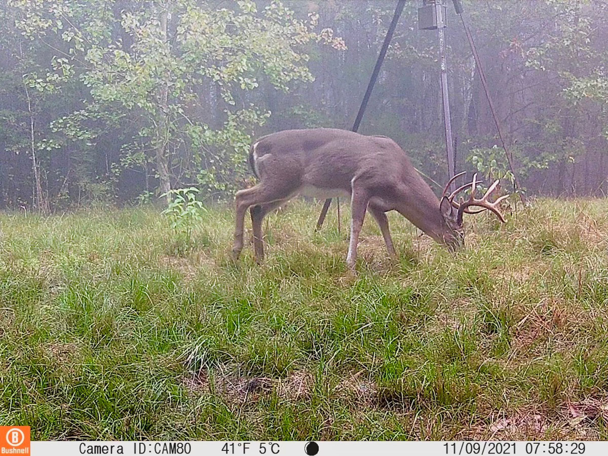 Louisiana Sportsman