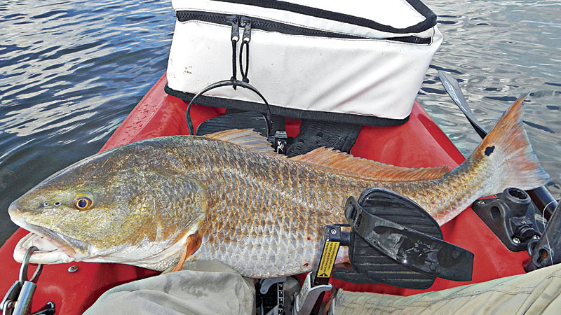 Louisiana Sportsman