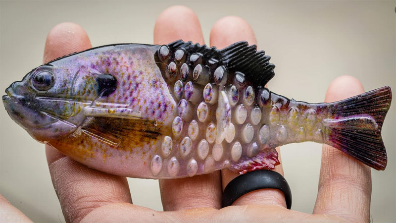 Louisiana Sportsman