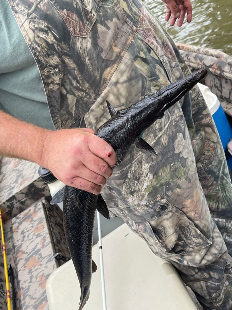 Louisiana Sportsman