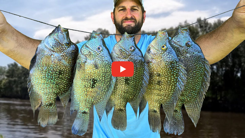 Louisiana Sportsman