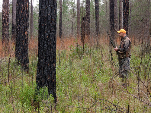 Louisiana Sportsman