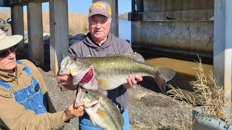 Louisiana Sportsman