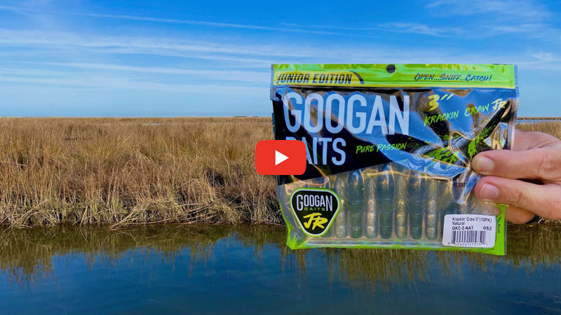 Louisiana Sportsman