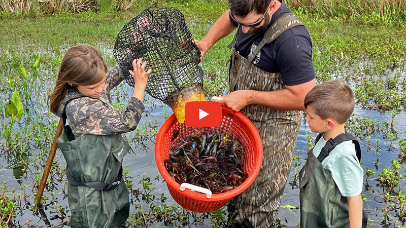 Louisiana Sportsman