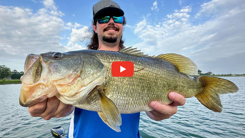 Louisiana Sportsman