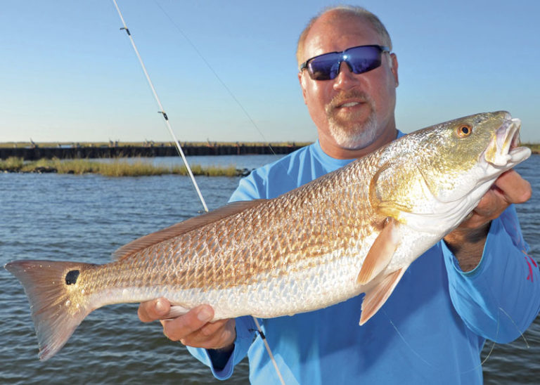 Louisiana Sportsman