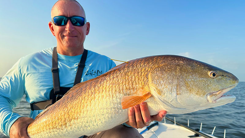 Louisiana Sportsman