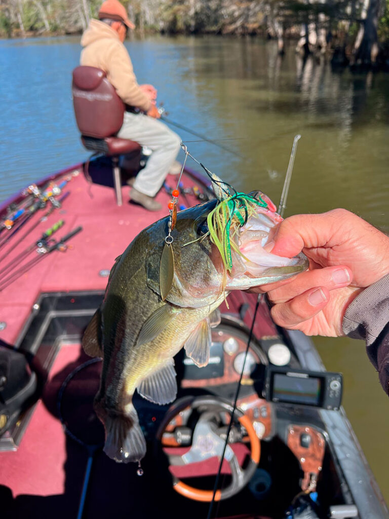 Louisiana Sportsman