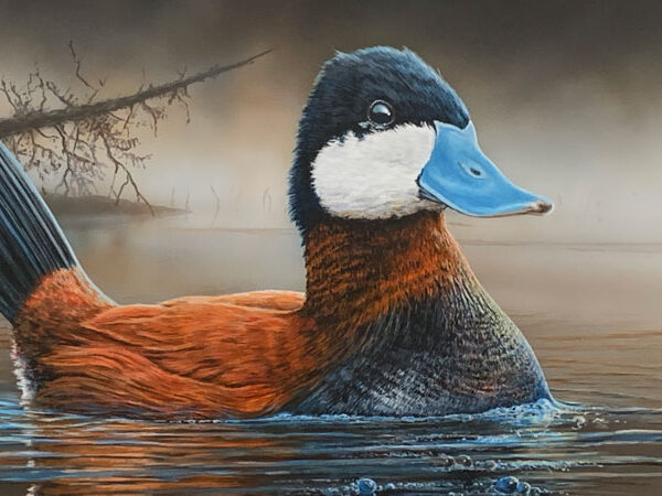 Louisiana Sportsman