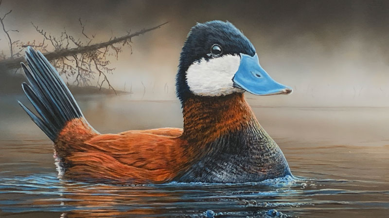 Louisiana Sportsman