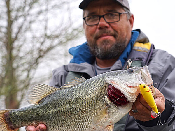 Louisiana Sportsman