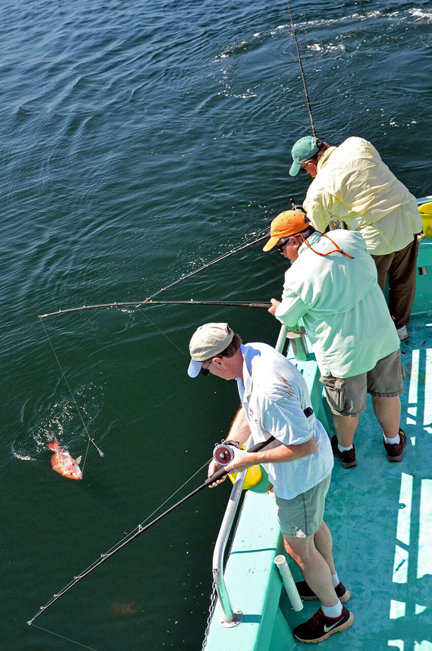 Louisiana Sportsman