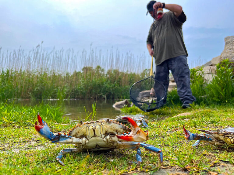 Louisiana Sportsman