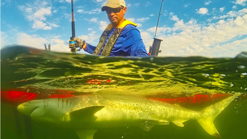 Louisiana Sportsman
