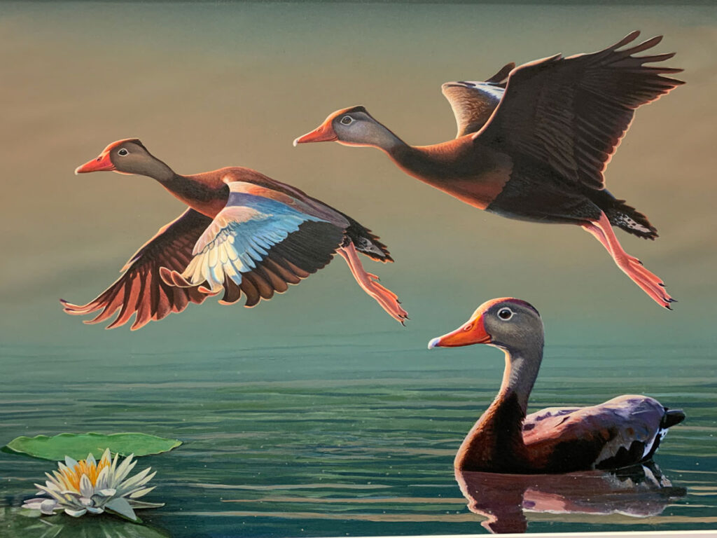 Louisiana Sportsman