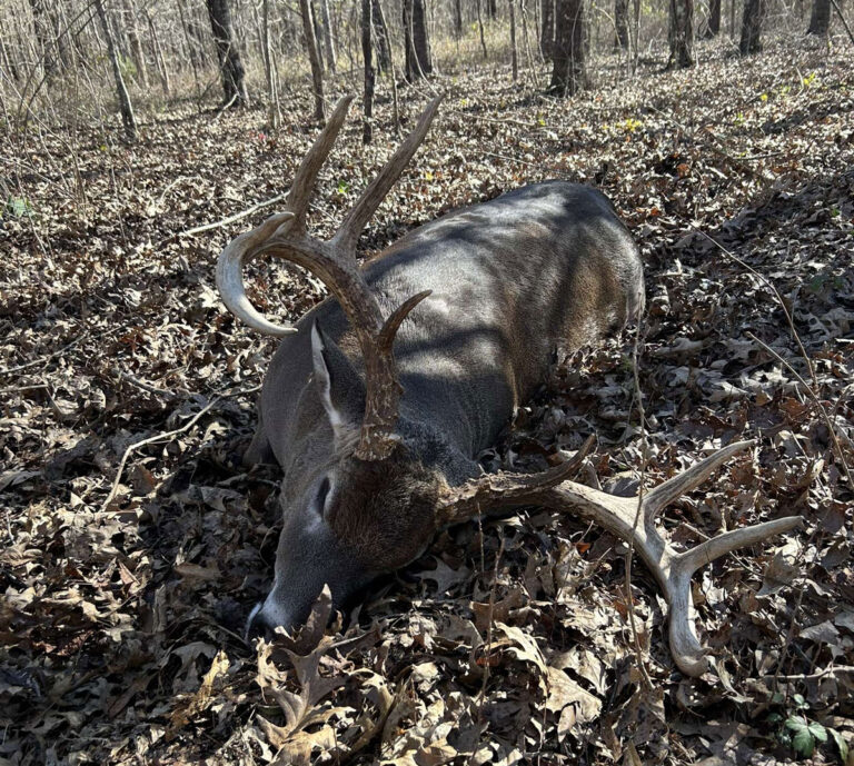 Louisiana Sportsman