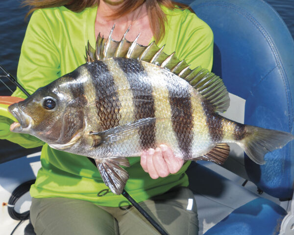 Louisiana Sportsman