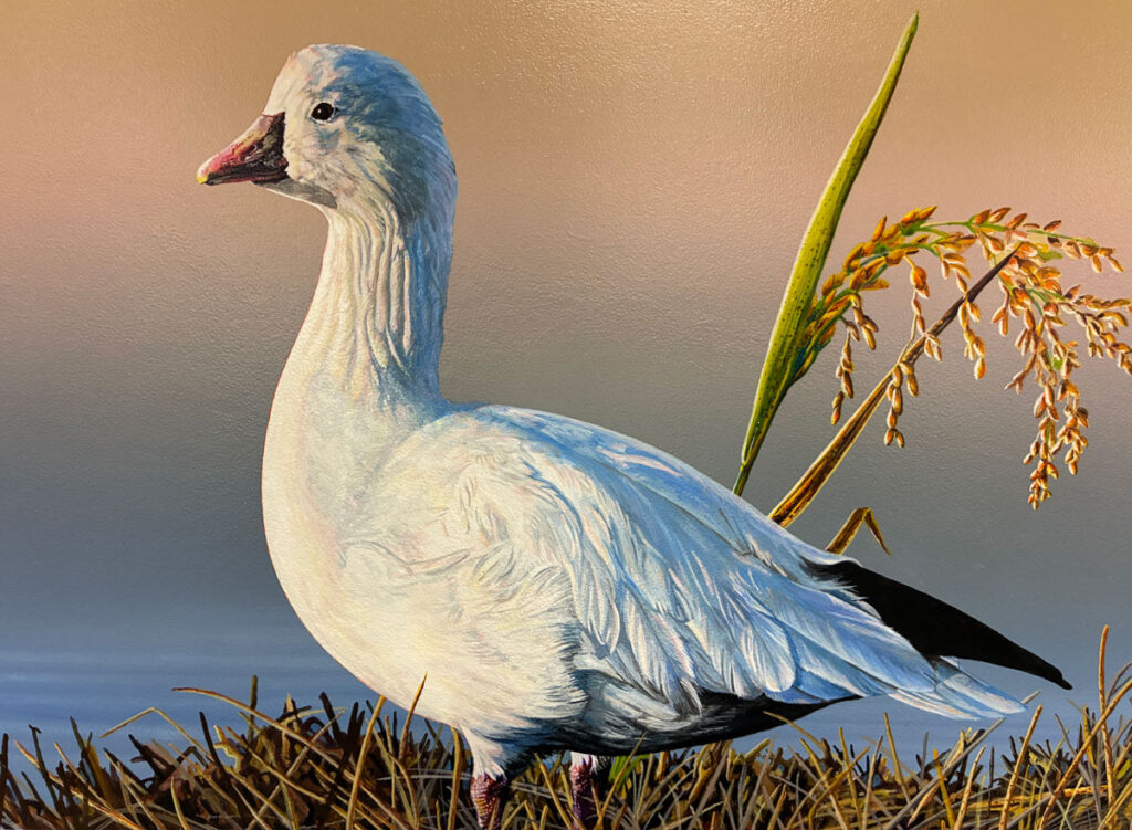 Louisiana Sportsman